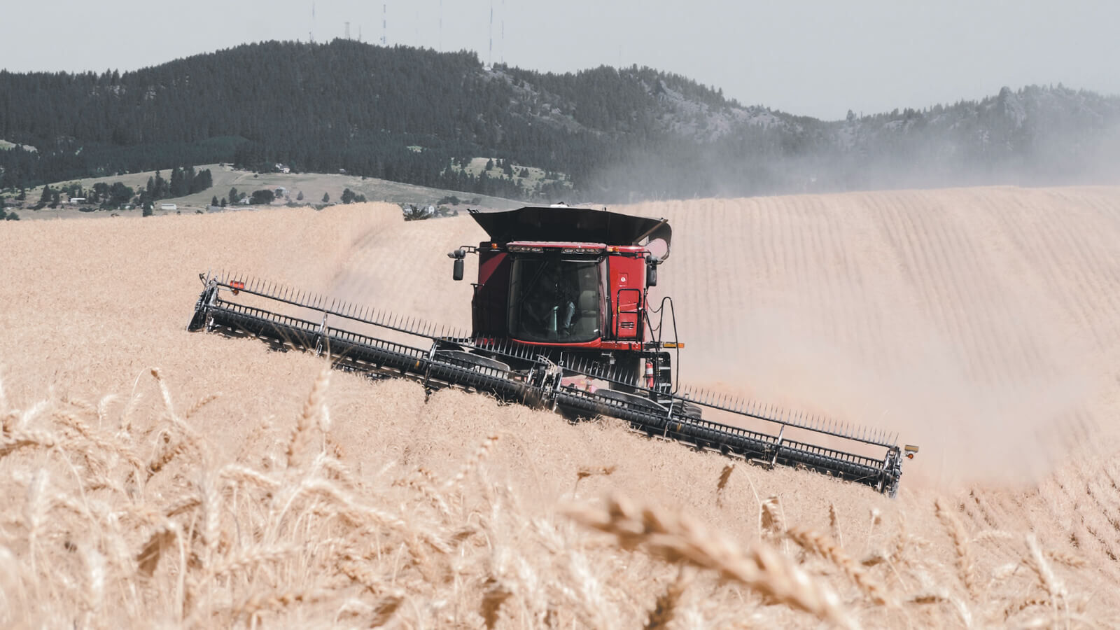 Macdon FD241 Combine Header Specs and Manual | AllMachines