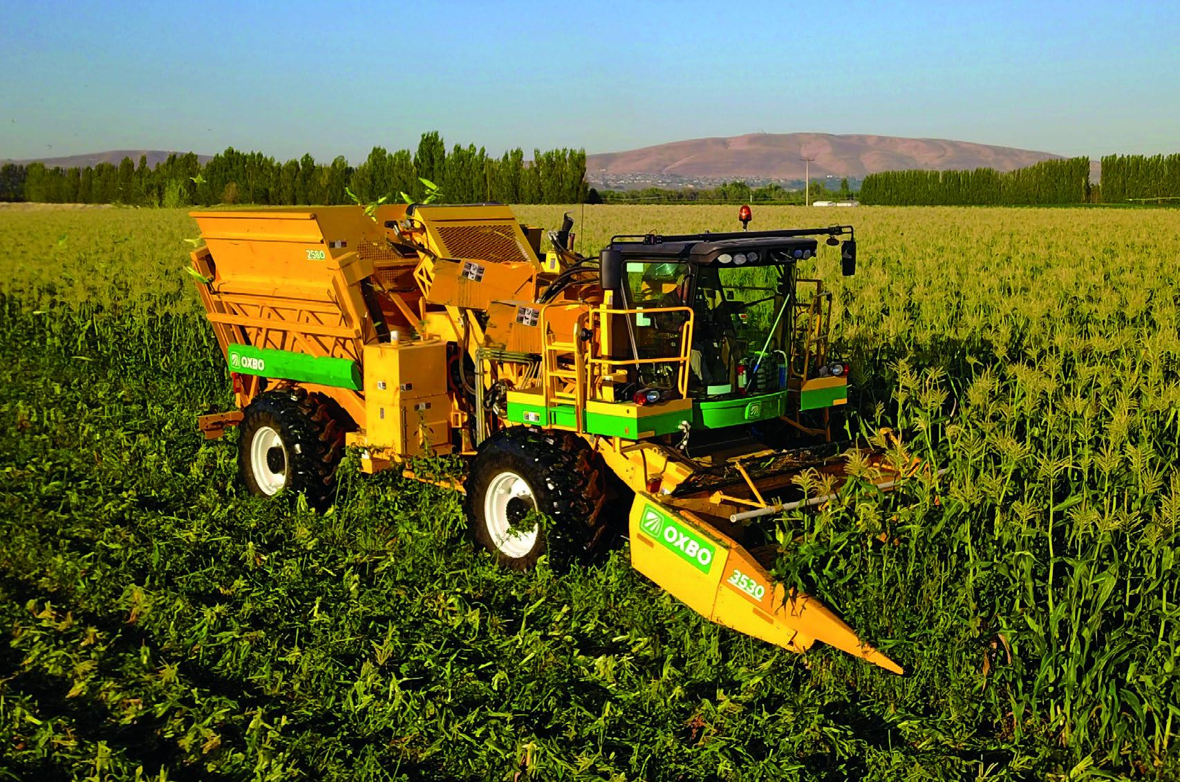 Oxbo 2580 Specialty Crop Harvester Specs