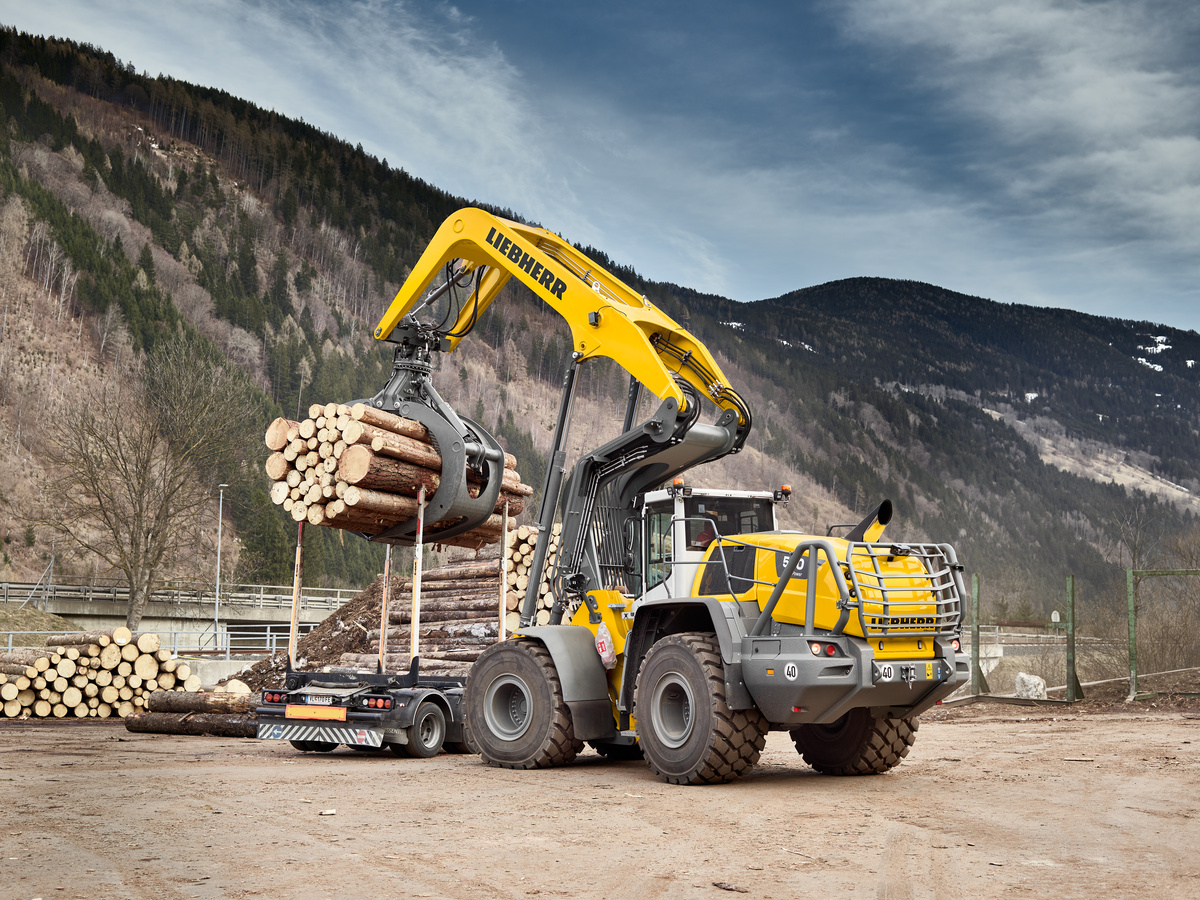 Liebherr L 580 LogHandler XPower Loader | AllMachines